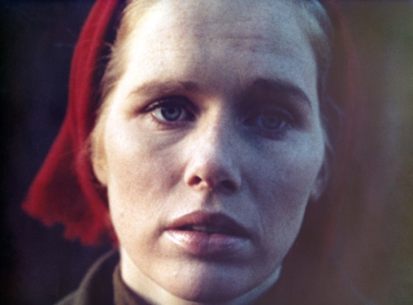 Liv Ullmann Passion Of Anna